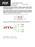 Letra M Cuadernillo | PDF