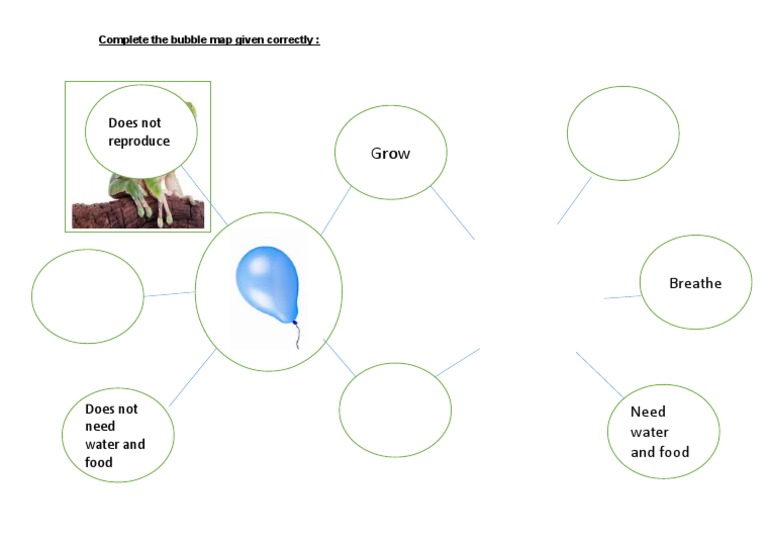 Bubble Map - Living Things | PDF