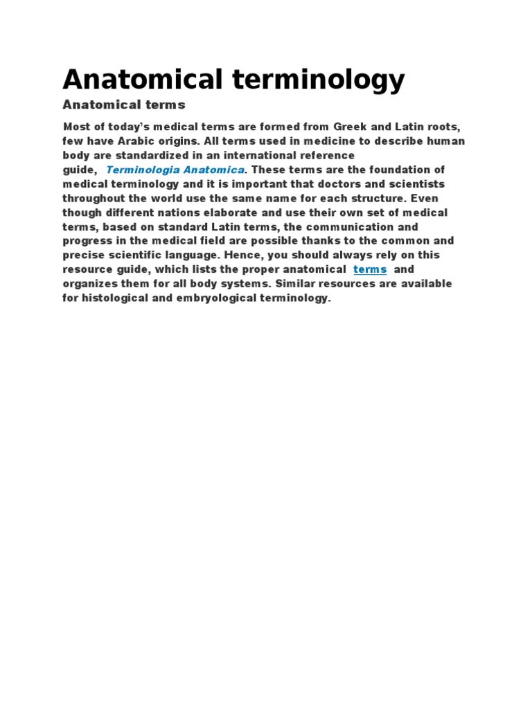 Anatomy | PDF | Anatomical Terms Of Motion | Osteoblast