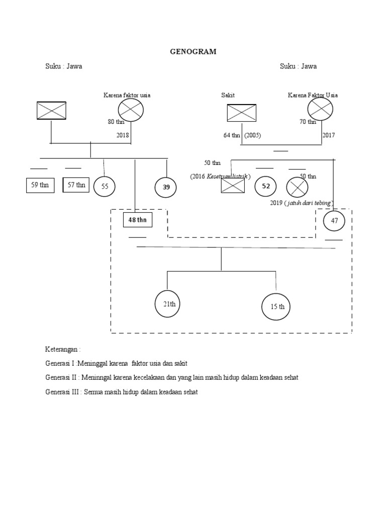 Genogram Keperawatan Keluarga | PDF