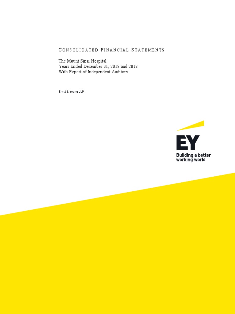 Mount Sinai Hospital Audited Financial Statements | PDF | Audit ...