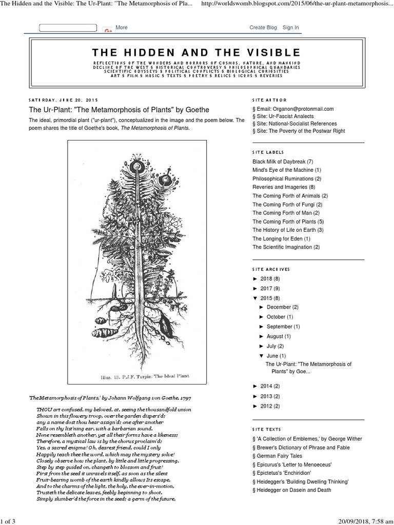 Goethe's Ur-Plant Metamorphosis Poem | PDF