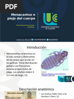Otobius Megnini. Parasitologia. | PDF