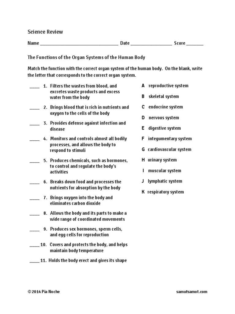 Quiz - Functions of The Organ Systems 1 | PDF | Wellness | Science ...