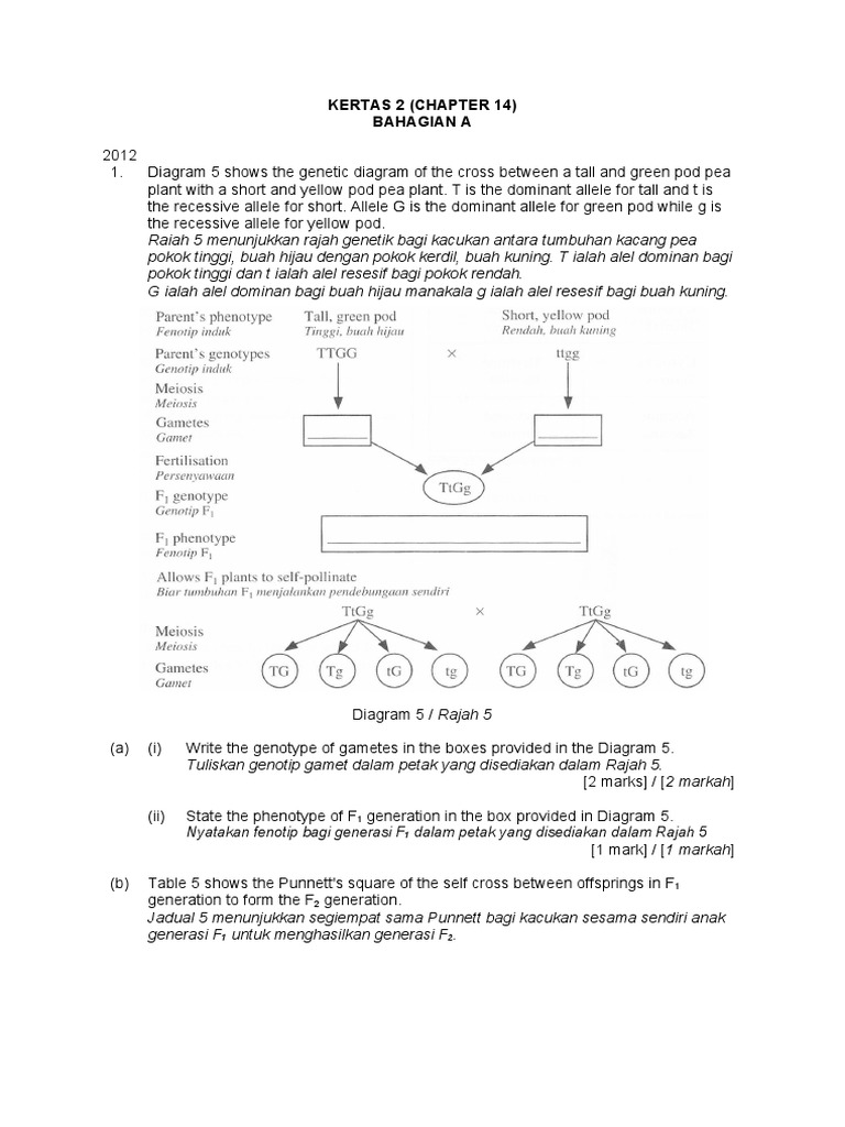 Latihan PKP F5 6 | PDF