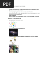 Regla de Wallace | PDF | Anatomía humana | Anatomía de los primates