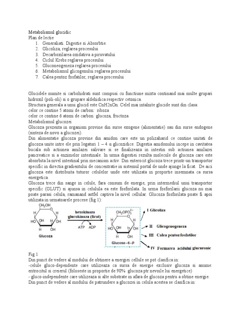 Glicoliza | PDF