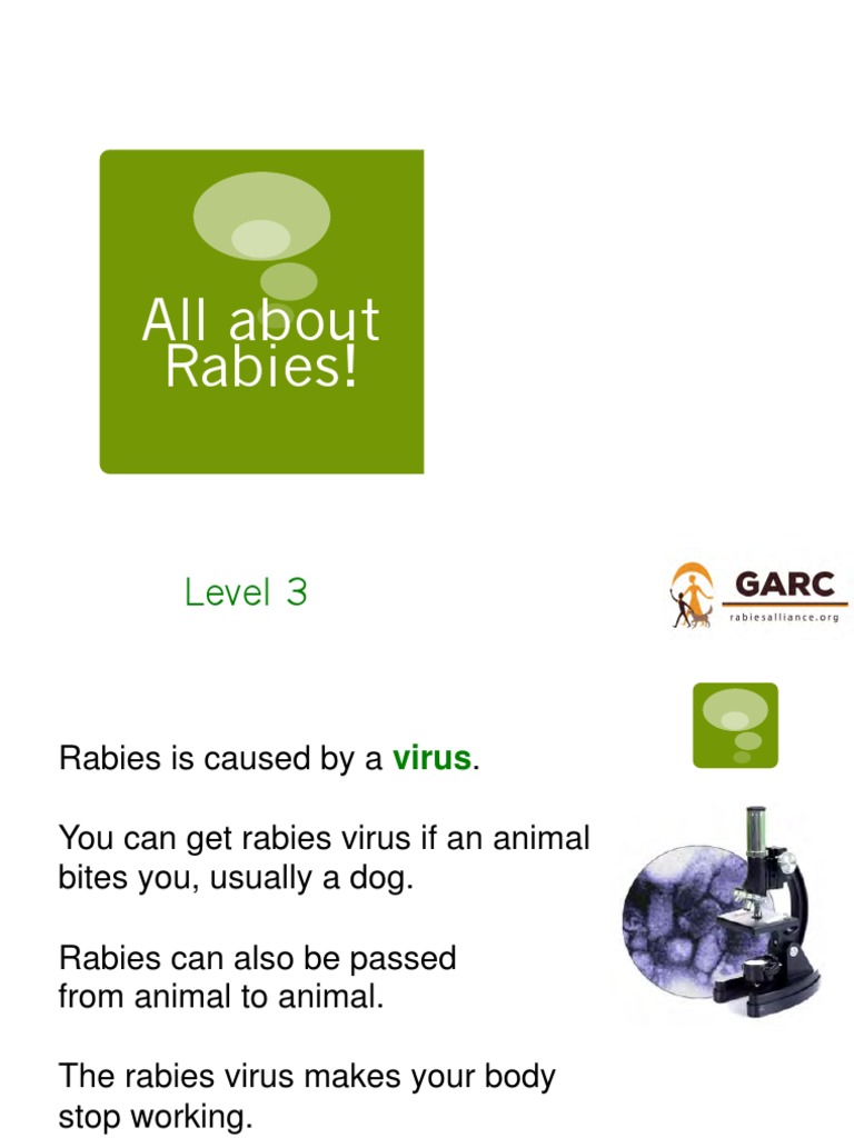 All About Rabies!: Level 3 | PDF | Rabies | Pet