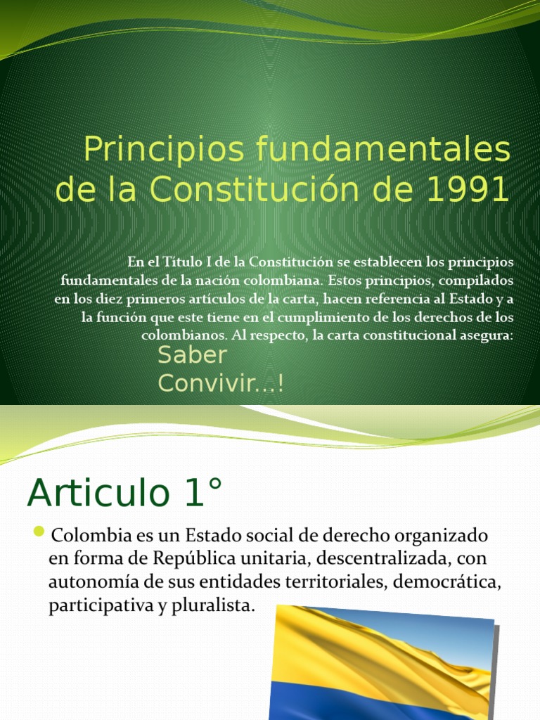 Principios de La Constitución | PDF | Nación | Estado (política)
