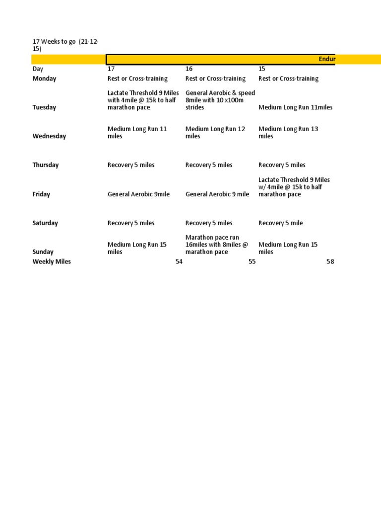 Pfitzinger 18-Week Marathon Plan | PDF | Aerobic Exercise | Sports Science