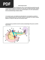 Insulin Sliding Scale Protocol For Type II Diabetic Patients | PDF ...