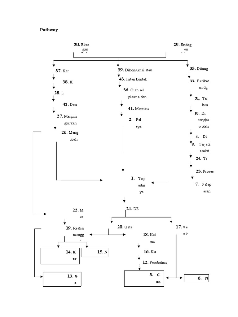 Eritroderma Pathway | PDF