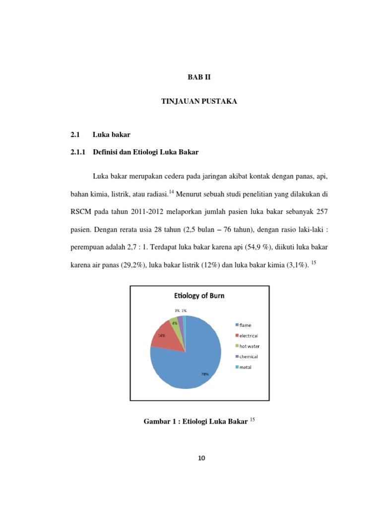 Luka Bakar 2018 Ha Muflihah Undip PDF | PDF | Ilmu Sosial | Pengembangan Diri