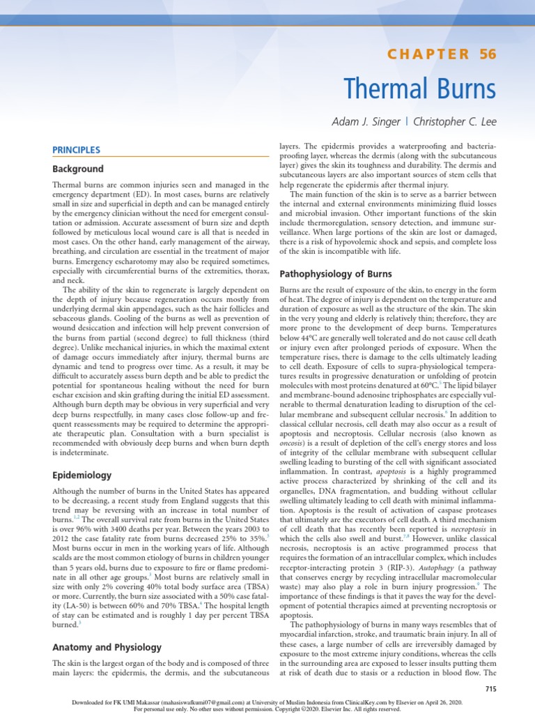 Thermal Burns: Principles | PDF | Burn | Necrosis