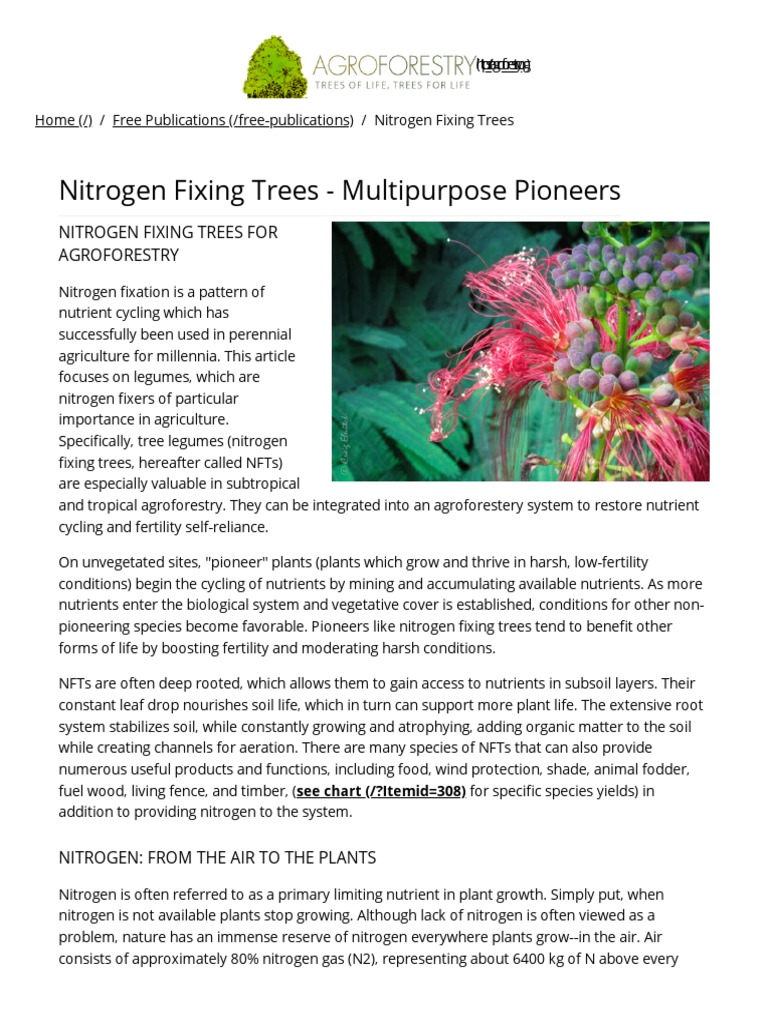 Nitrogen Fixing Trees - Multipurpose Pioneers | PDF | Seed | Soil