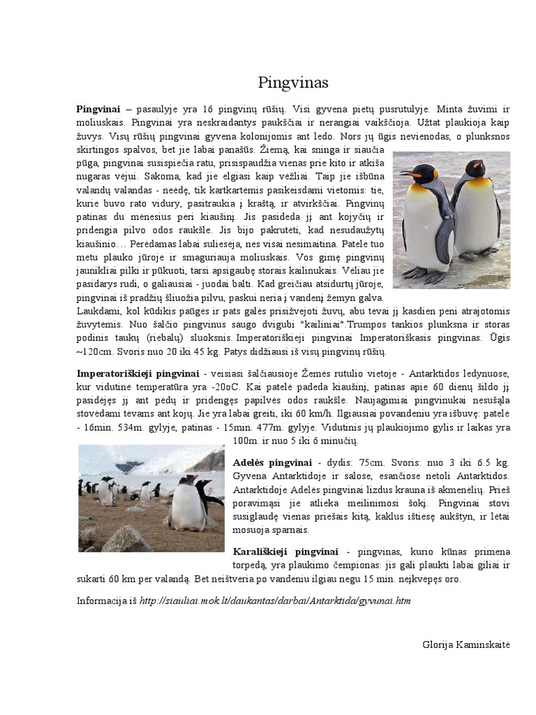 Pingvinas | PDF