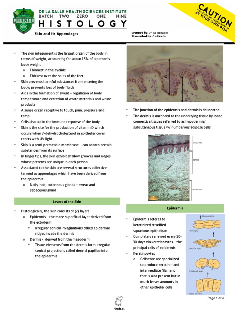 Skin and Its Appendages: Lectured By: Dr. Ed Gonzales Transcribed By ...