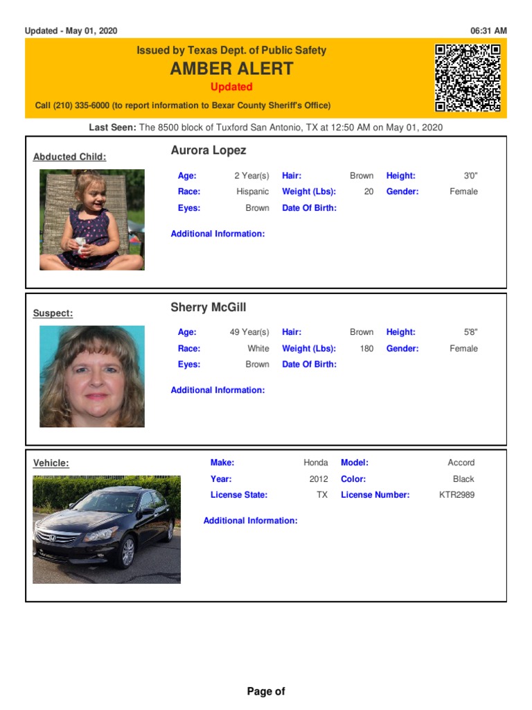 Amber Alert Flyer | PDF