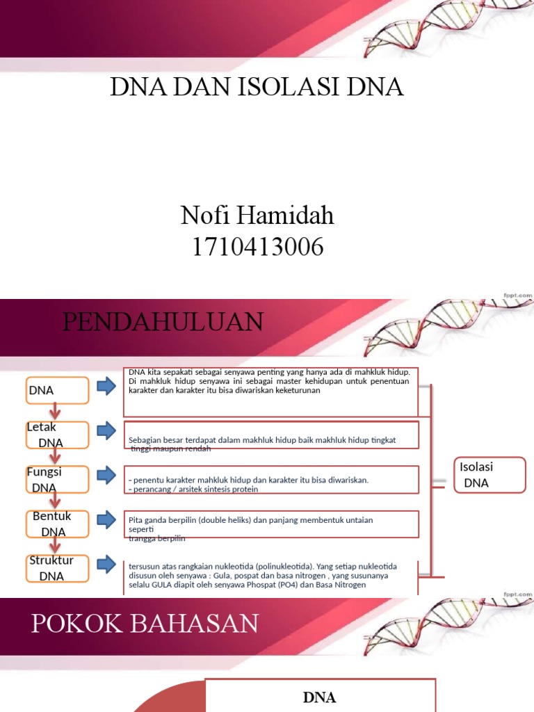 ISOLASI DNA DAN PEMURNIAN | PDF