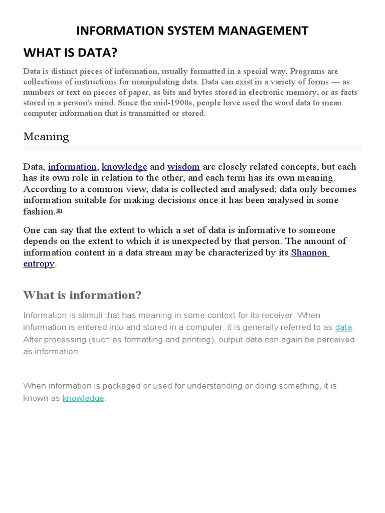 Information System Management | PDF | Artificial Intelligence ...