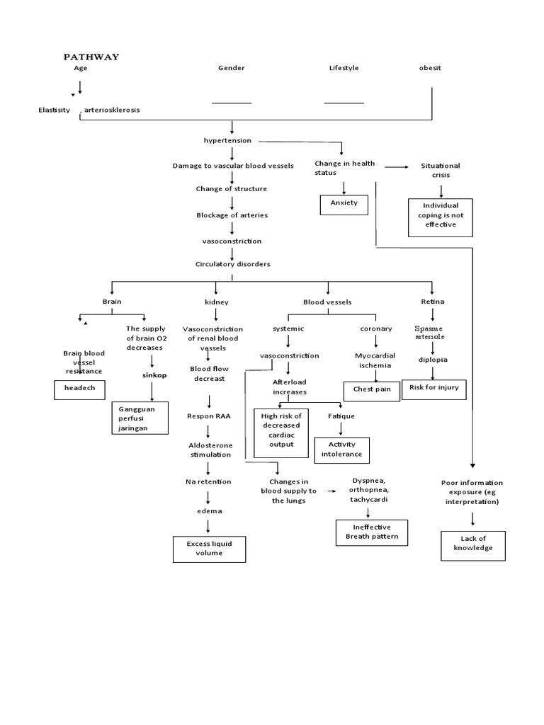 Pathway | PDF | Blood Vessel | Circulatory System