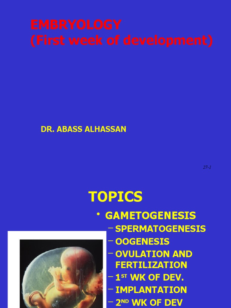 First Week of Development | Download Free PDF | Fertilisation | Meiosis