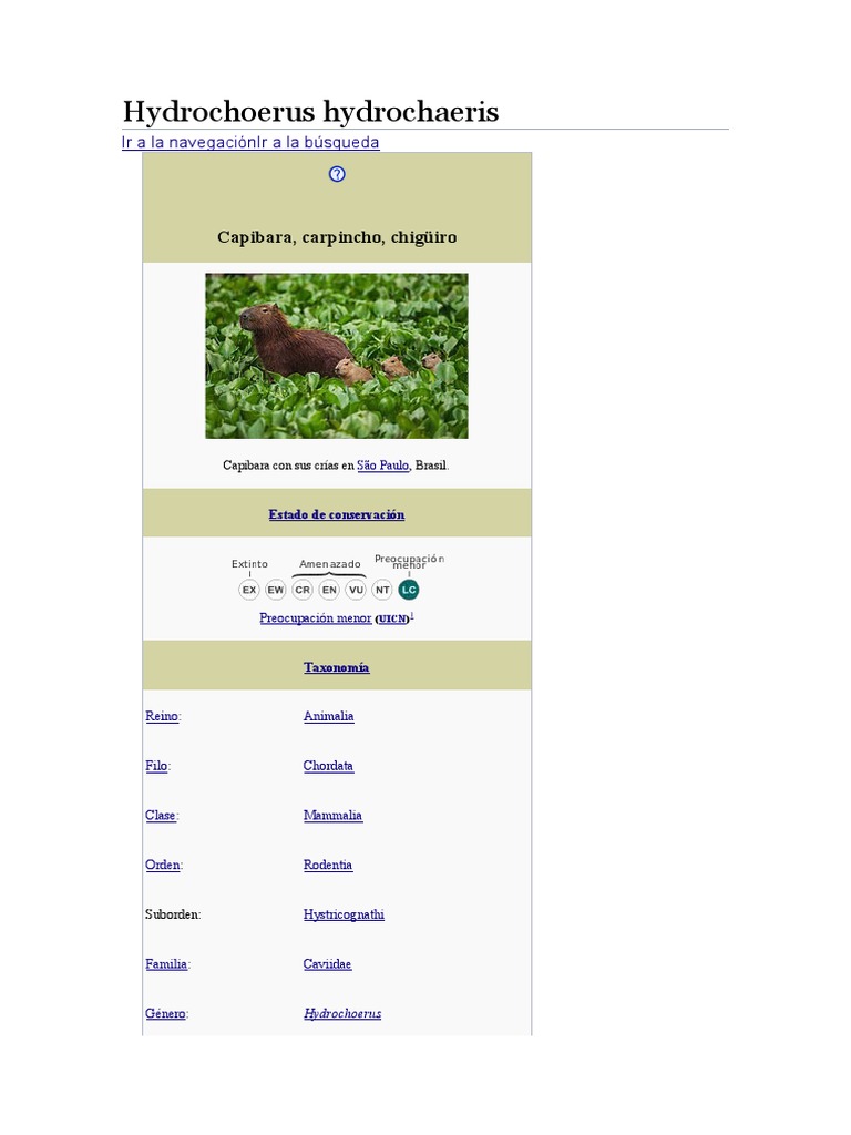 Capibara | PDF | Organismos | Naturaleza