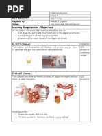 Digestive System Project Ideas | PDF | Digestion | Human Digestive System