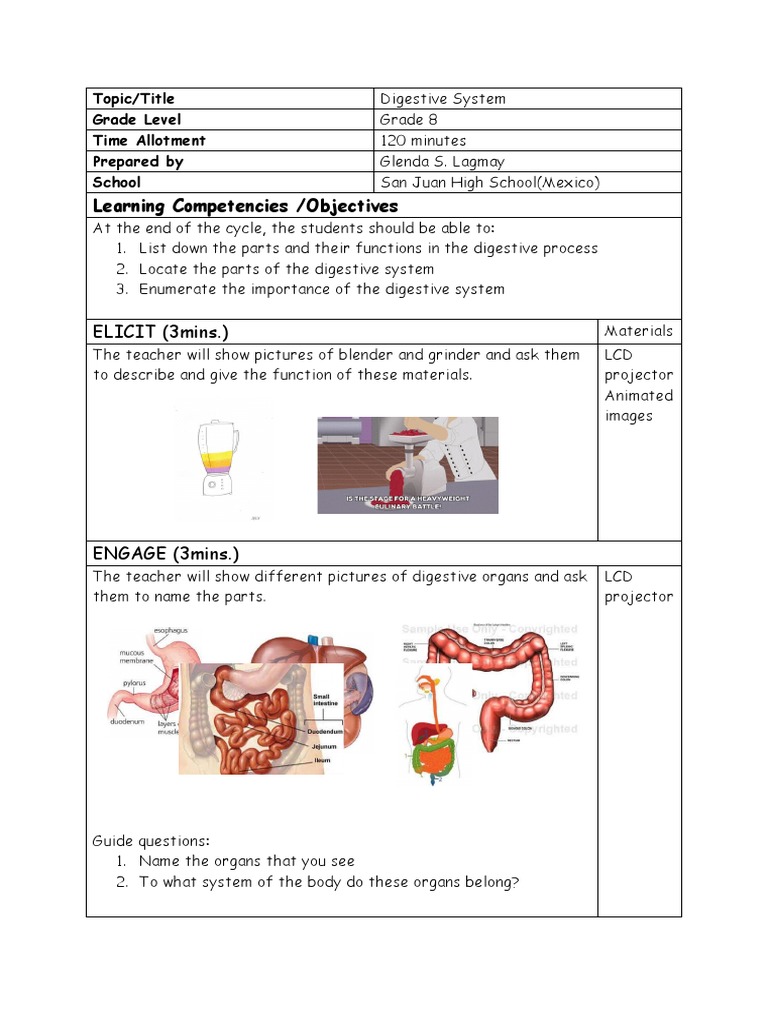 Learning Competencies /objectives: ELICIT (3mins.) | PDF | Human ...