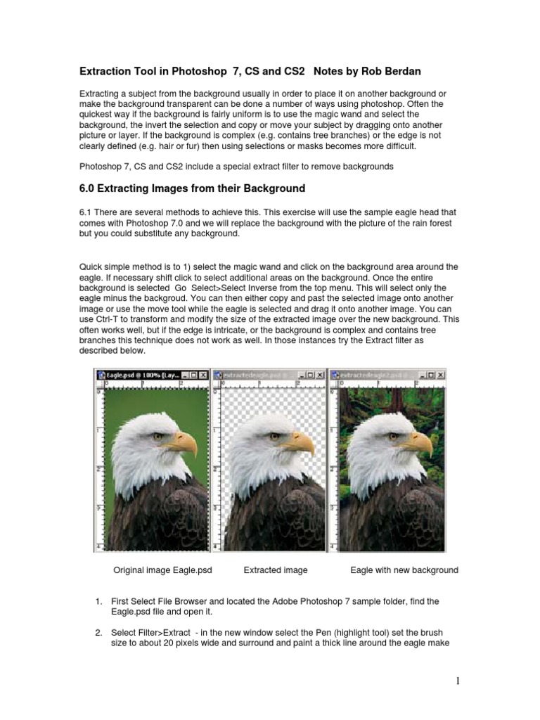 Extraction Tool in Photoshop 7 PDF | PDF | Adobe Photoshop | Computer ...