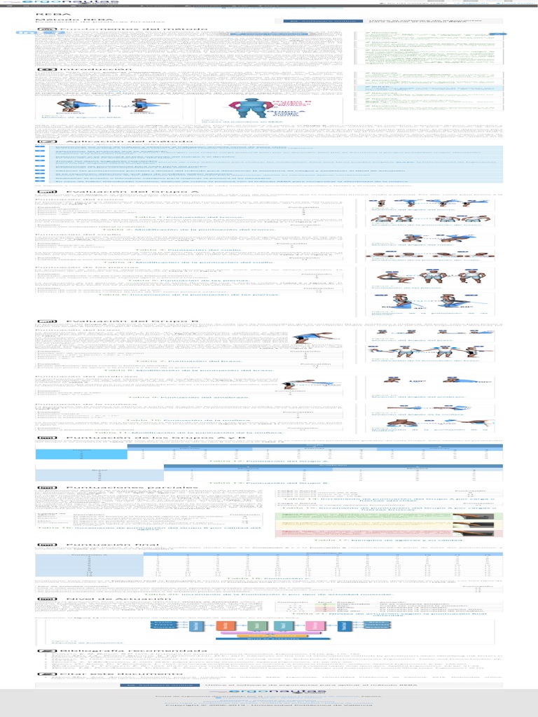 Método REBA - Rapid Entire Body Assessment | PDF | Medición | Rodilla