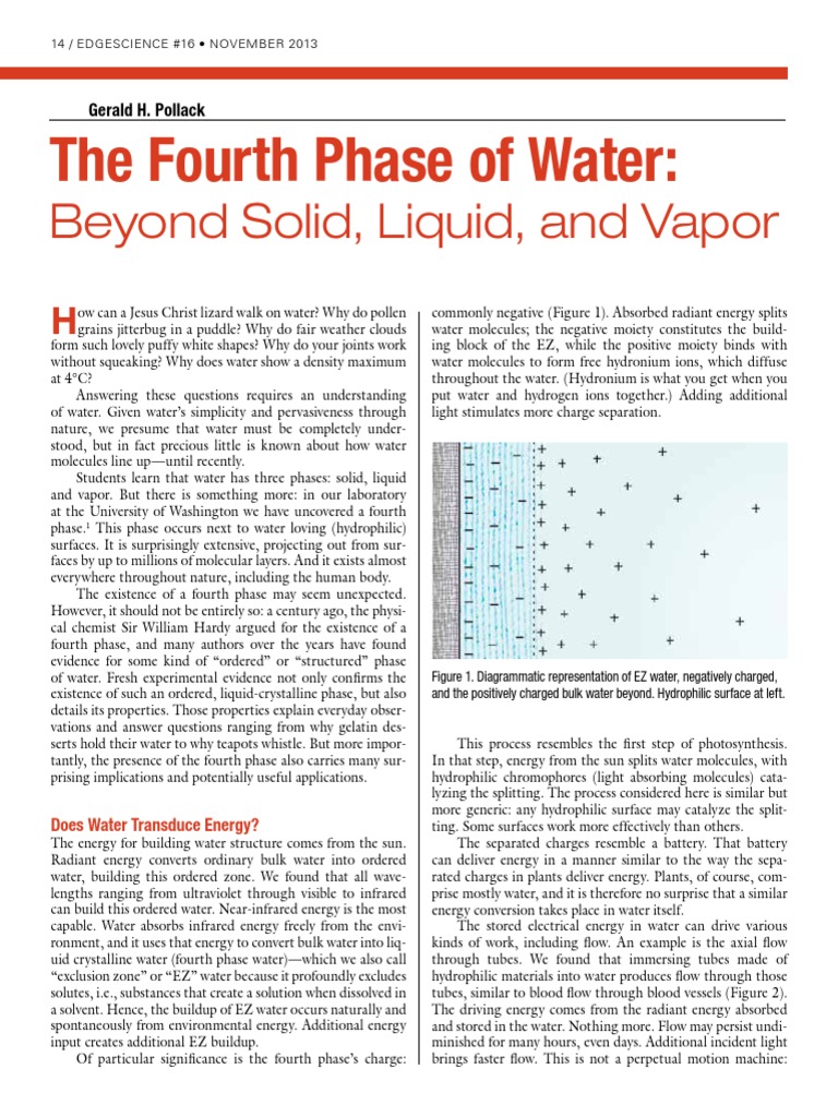 The Fourth Phase of Water PDF | PDF