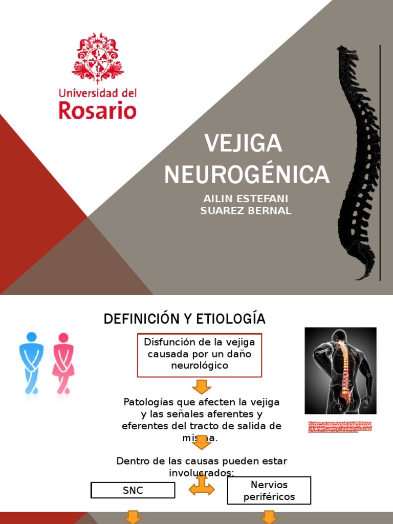 Vejiga | PDF | Vejiga urinaria | Micción