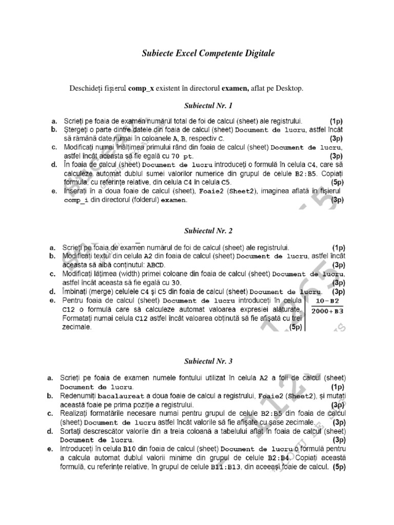Competente Digitale - Excel | PDF