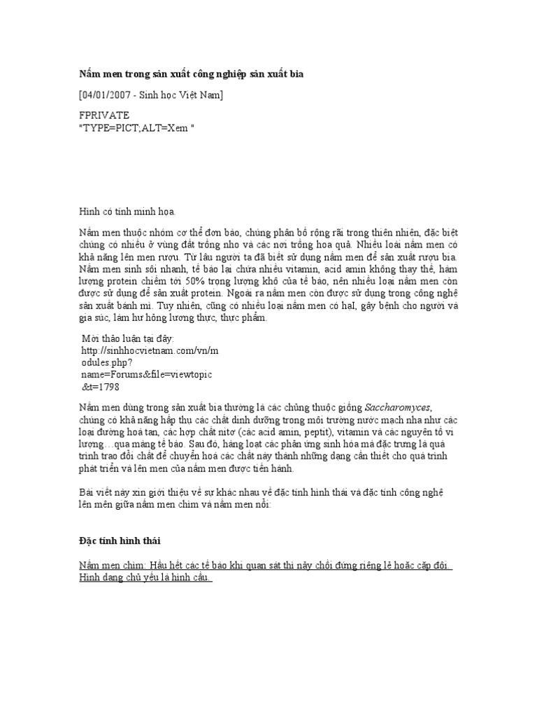 Len Men Bia | PDF