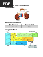 Endocrine Anesthesia MCQs | PDF | Adrenal Gland | Cortisol