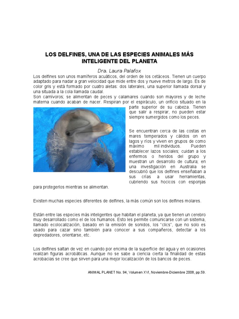 Los Delfines | PDF | Mamíferos | Organismos