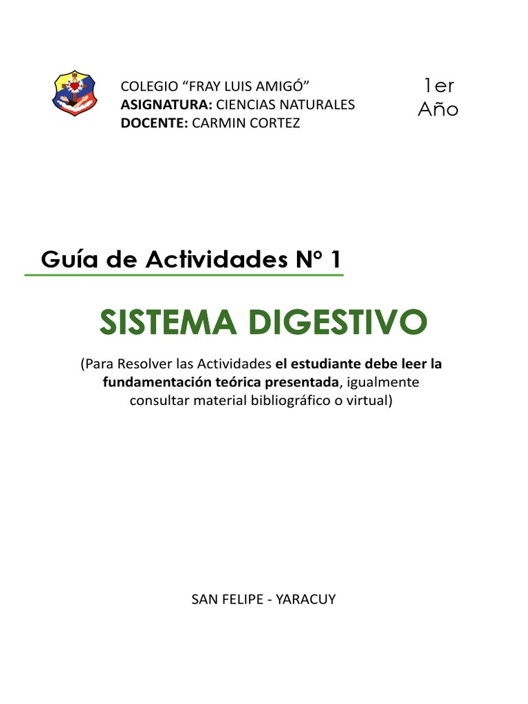 Guía de Ciencias: Sistema Digestivo | PDF | Digestión | Sistema ...
