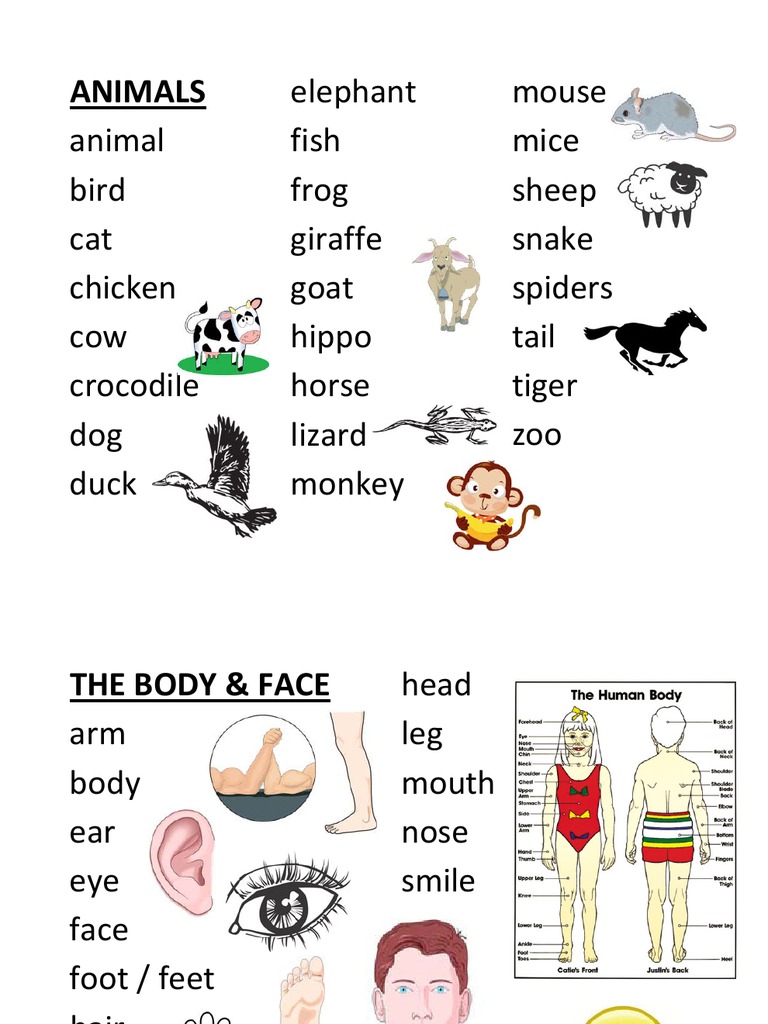 Starters Vocabulary List | PDF