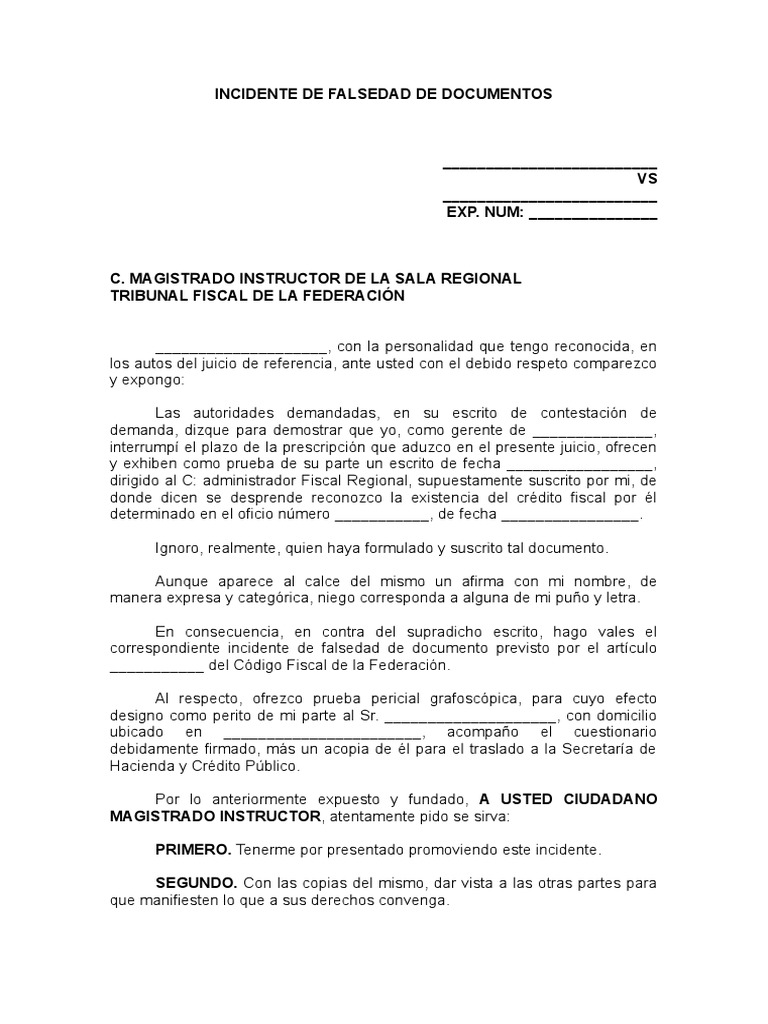 Incidente de Falsedad de Documentos | PDF | Gobierno | Justicia