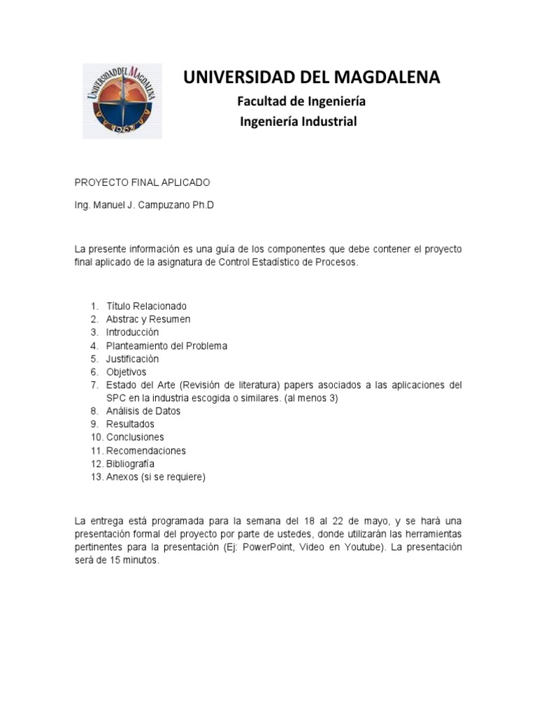 Pautas Proyecto Final SPC | PDF