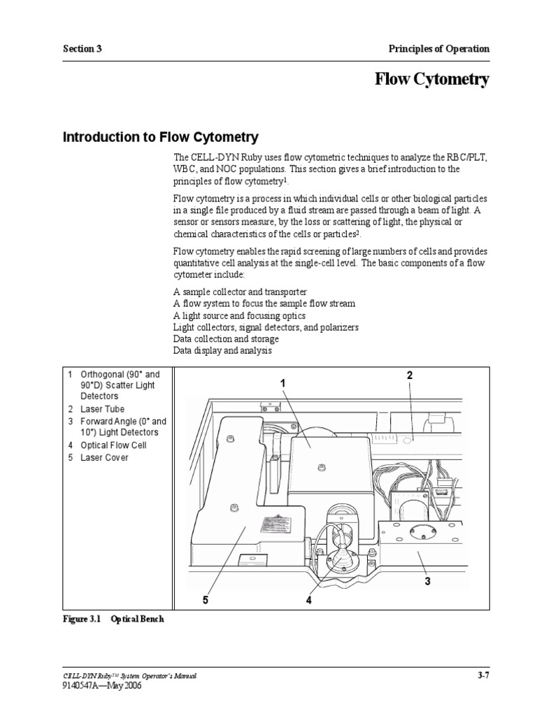 CELL-DYN Ruby TM System Operators Manual PDF | PDF | Flow Cytometry | White Blood Cell