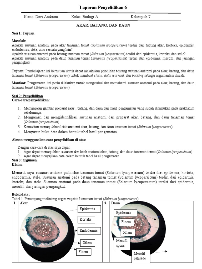 Akar Batang Daun Tomat Pake Ini La | PDF | Sains & Matematika