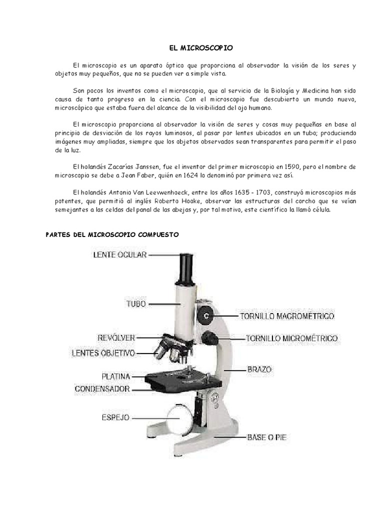 Guía Completa del Microscopio | PDF | Microscopio | Óptica