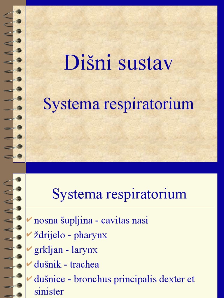 Dišni Sustav | PDF