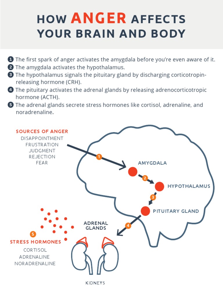 NICABM Anger Infographic PrintFriendly | PDF | Wellness