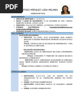 Formato Modelo Ejemplo de Resumen Curricular para Rellenarlo | PDF ...