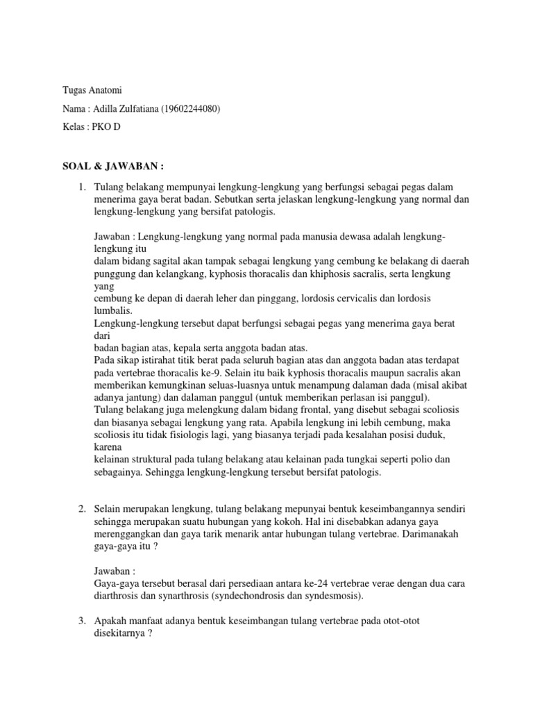 Latihan Soal Truncus PDF | PDF