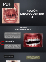 Region Geniana | PDF | Cabeza y cuello humanos | Anatomía humana