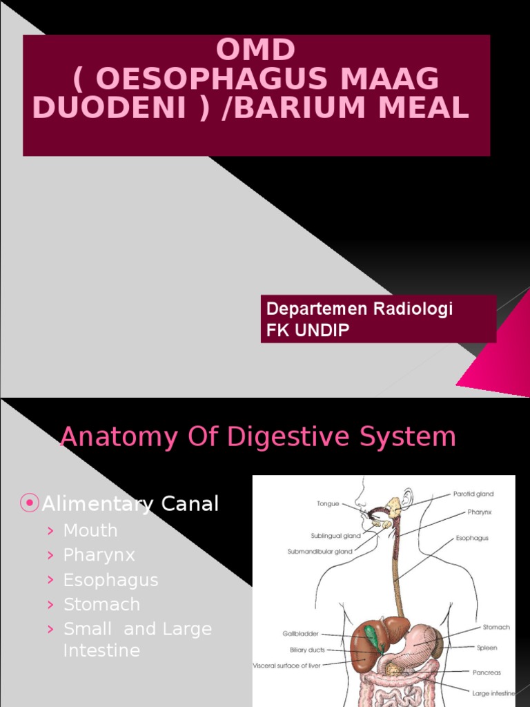 1 OMD, Indikasi, Dan Mekanisme Rujukan Panoramic | PDF | Stomach ...